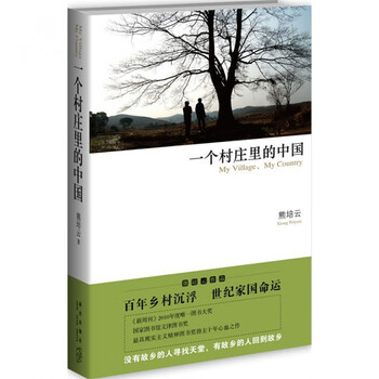 一个村庄里的中国
