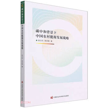 碳中和背景下中国农村能源发展战略