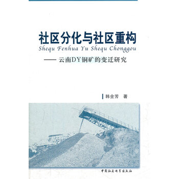 社区分化与社区重构【正版图书】