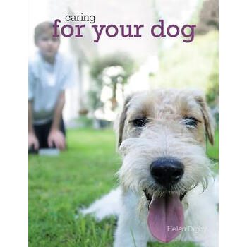 Caring for Your Dog