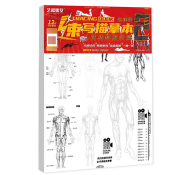 2022新版建华速写描摹本2人体结构解剖篇基础入门人物动作讲视频同步全国考题难点讲解分类练习书