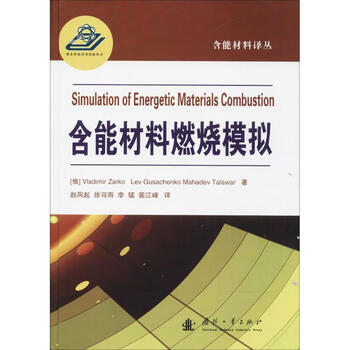 含能材料燃烧模拟 (印)马哈德夫·塔拉沃尔(Mahadev Talawar),