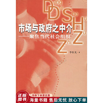 市场与政府之中介：聚焦当代社会组织