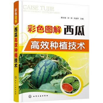 彩色图解西瓜高效种植技术 大棚西瓜种植书籍 棚室西瓜高效栽培 西瓜栽培模式育苗技术 西瓜露地栽培技术 西瓜种植栽培技术大全书籍 西瓜育苗育种教程 西瓜病虫害防治技 水果种植技术书籍 农业书籍