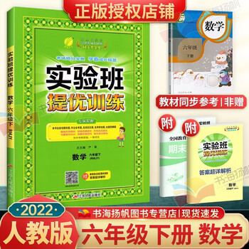 小学实验班提优训练六年级练习册 下册 数学 人教版