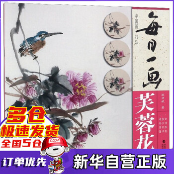 每日一画(芙蓉花)/中国画技法
