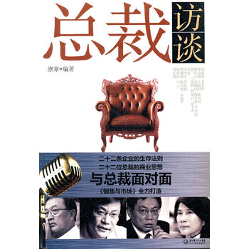 总裁访谈 潦寒著