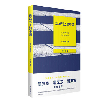 斑马线上的中国:十年观察原
