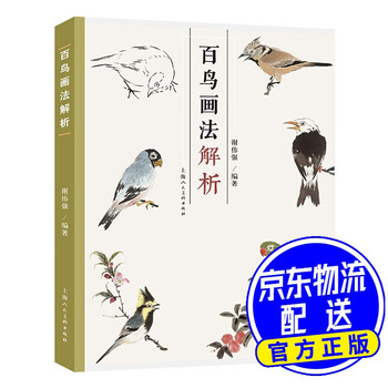 百鸟画法解析
