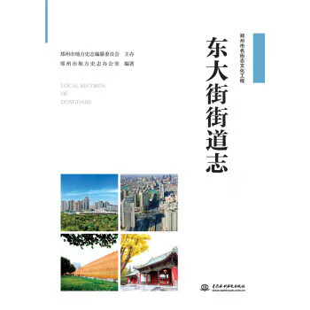 东大街街道志【正版图书】