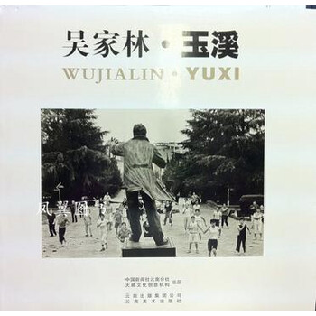 吴家林·玉溪 吴家林 云南美术出版社