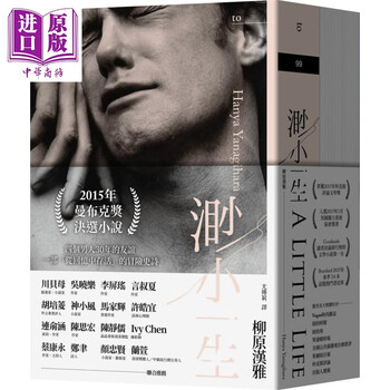 渺小一生 上下册 港台原版 柳原汉雅 大块文化 美国文学