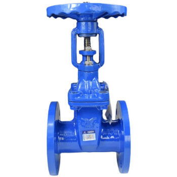 上海沪航Z41X-16Q弹性座封明杆软密封法兰闸阀球墨铸铁耐腐蚀DN65 DN50【图片 价格 品牌 报价】-京东