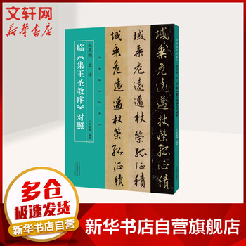 赵孟頫王铎临集王圣教序对照/名家临名帖系列 图书