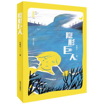 拾光者—隐形巨人 张晓玲 著 9787533294502