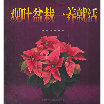 观叶盆栽一养就活 蒋青海