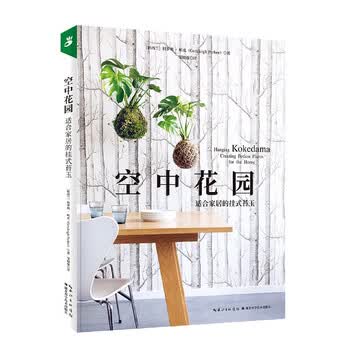 空中花园(适合家居的挂式苔玉)