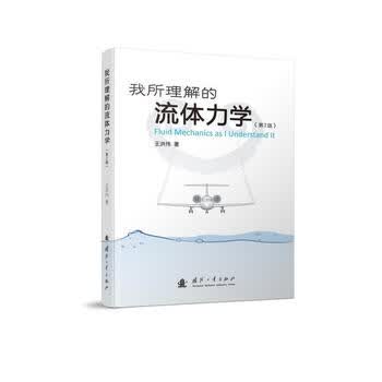 我所理解的流体力学 王洪伟 著【正版书】