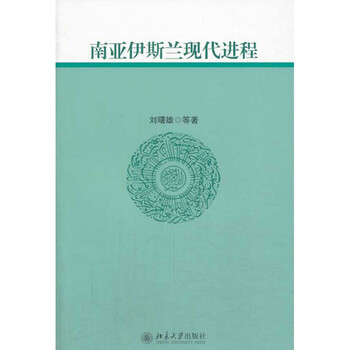 南亚伊斯兰现代进程 北京大学旗舰店正版