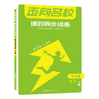 走向名校 课时同步训练 九年级化学 下册 RJ 人教版 2022版