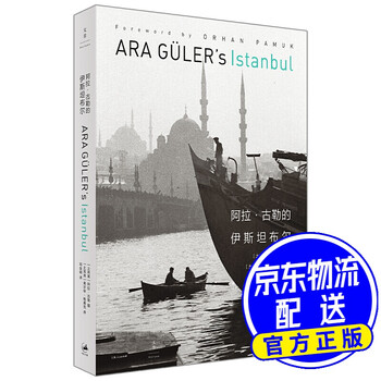阿拉·古勒的伊斯坦布尔