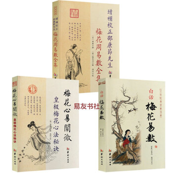 现货正版包邮 梅花易数讲义白话风水学书籍入门的书图解邵雍著算卦教程教学讲义邵康节 全3册