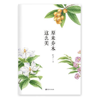 原来乔木这么美 叶子
