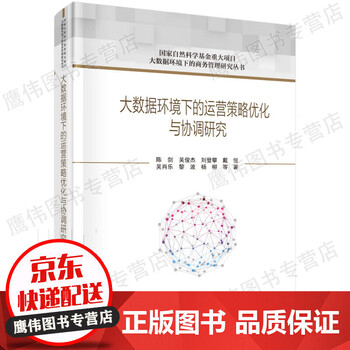 大数据环境下的运营策略优化与协调研究