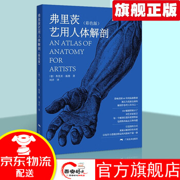 【官方旗舰】弗里茨艺用人体解剖 彩色版 绘画技法 素描速写书籍 人体解剖学 广西美术出版社
