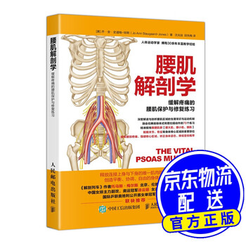 腰肌解剖学 缓解疼痛的腰肌保护与修复练习