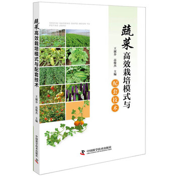 蔬菜高效栽培模式与配套技术 高俊杰
