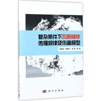 复杂条件下瓦斯爆炸传播规律及伤害模型