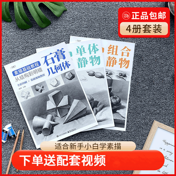 素描书入门教材 素描基础教程全套4册从结构到明暗素描石膏几何体石膏人物头像静物素描书初学者画画自学零基础铅笔画绘画手绘美术书籍临摹画册 3本