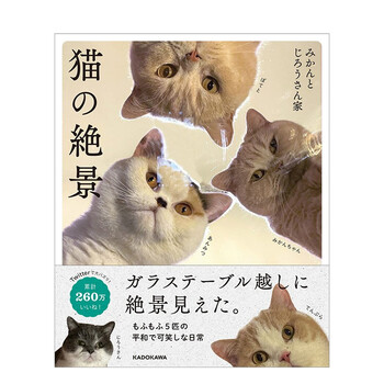 猫之绝景 喵星人写真集 Twitter超两百万人气宠物摄影集 ＫＡＤＯＫＡＷＡ 日文原版进口图书拍摄技巧  图书