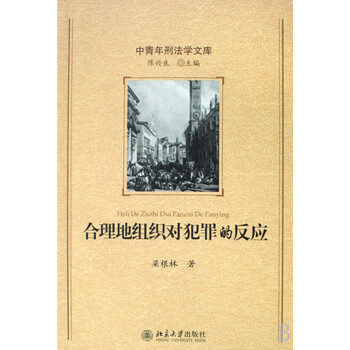 合理地组织对犯罪的反应/中青年刑法学文库