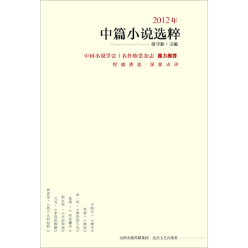 2012年中篇小说选粹 段守新