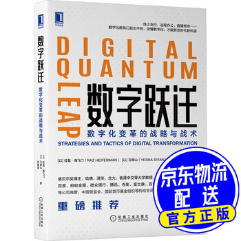 数字跃迁：数字化变革的战略与战术