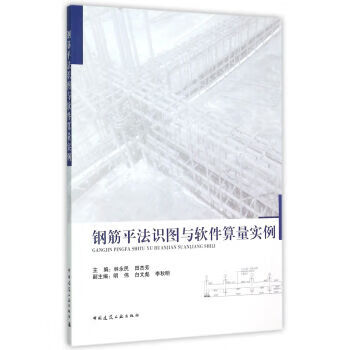 钢筋平法识图与软件算量实例【正版图书】