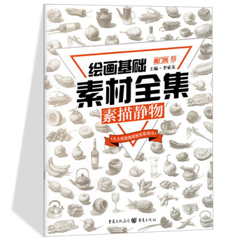 新版敲门砖绘画基础素材全集素描静物九大美院力荐使用基础书素描零基础入门教程书水果蔬菜器皿单体组合训练