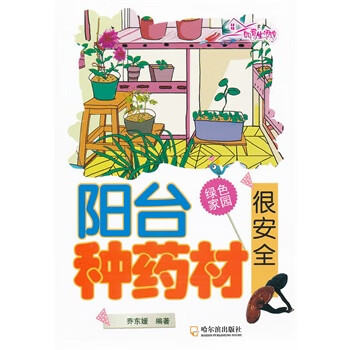 阳台种药材很安全