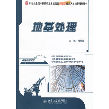 地基处理 北京大学旗舰店正版