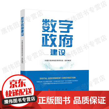 数字政府建设
