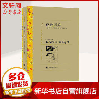 夜色温柔 菲茨杰拉德自传体小说 译文名著精选
