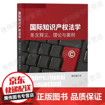 国际知识产权法学：条文释义、理论与案例