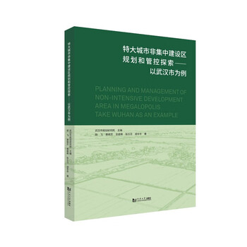 特大城市非集中建设区规划和管控探索