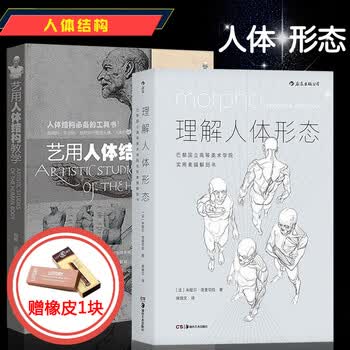【满300减30】经典速写大全游戏动漫理解人体形态素描解剖人体结构零基础入门 游戏动漫艺用人体结构教