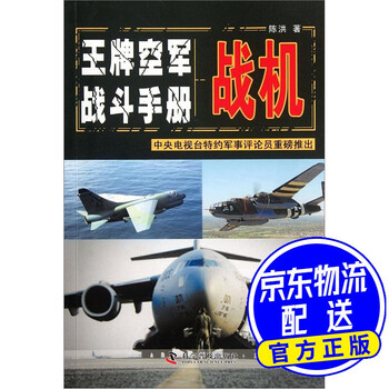 战机：空军战斗手册