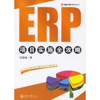 ERP项目实施全攻略 田俊国 北京大学出版社