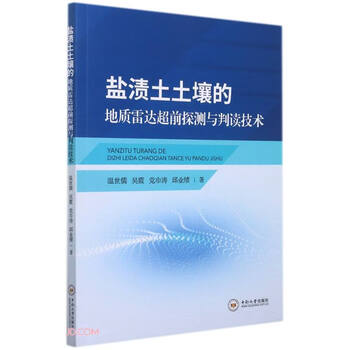 {正版新书}盐渍土土壤的地质雷达超前探测与判读技术 专著 温世儒[等]著 yan zi tu tu