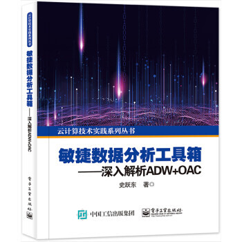 敏捷数据分析工具箱 ――深入解析ADW+OAC